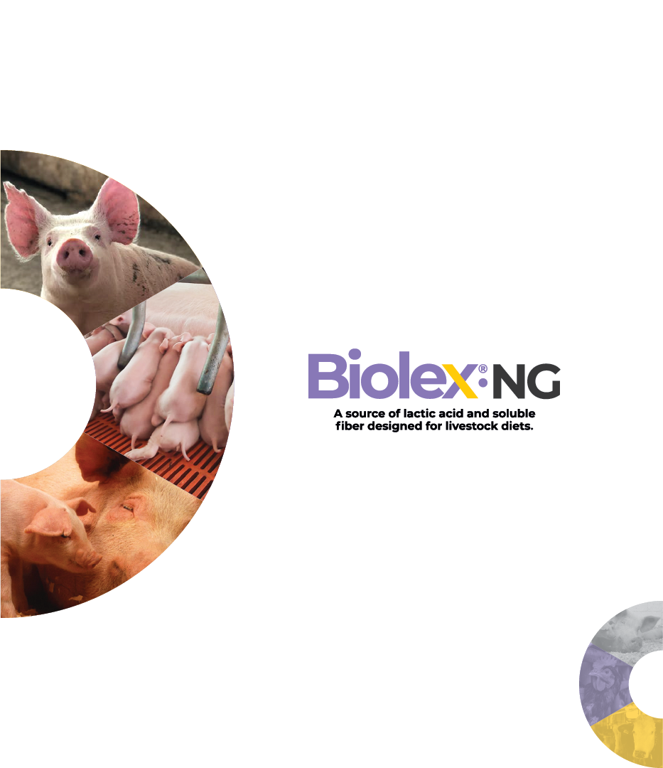 Home - BioMatrix International