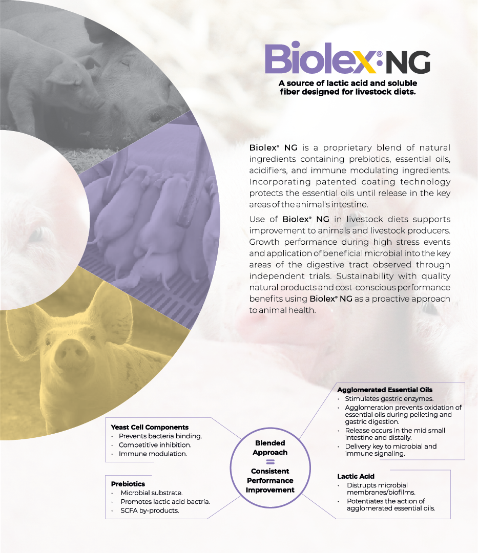 Home - BioMatrix International